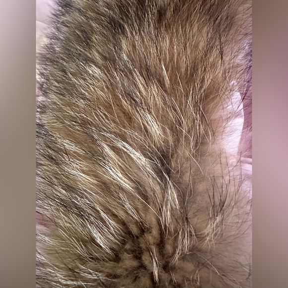 Vo Tarun | Jackets & Coats | Warmest Winter Puffer Jacket | Poshmark